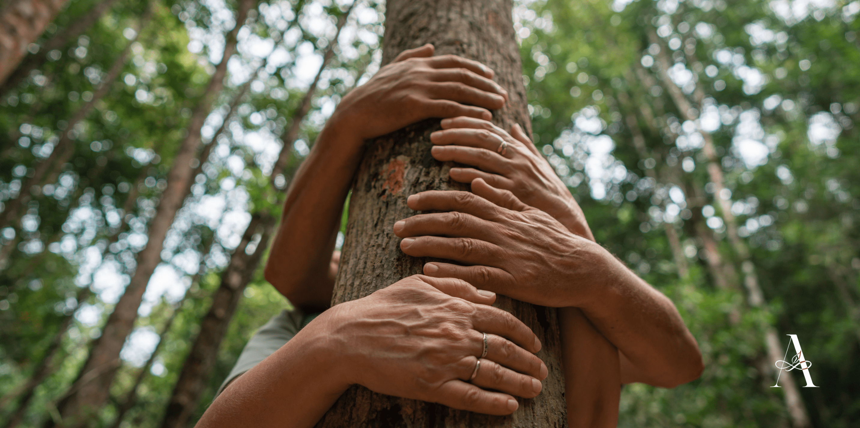 10 formas de conectar con la naturaleza en verano